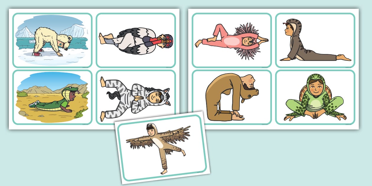 Zoo Animal Yoga Poses Flashcards - Twinkl