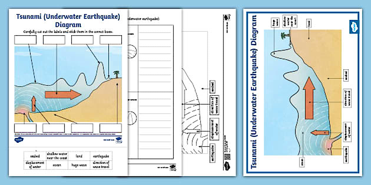 Tsunami (Underwater Earthquake) Diagram Activity Pack