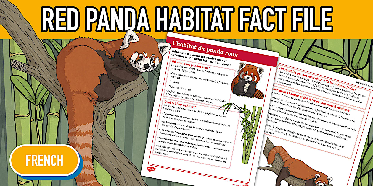 Red Panda Habitat Fact File French (teacher made) - Twinkl
