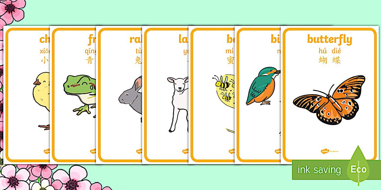 Spring Animals Posters English/Mandarin Chinese/Pinyin