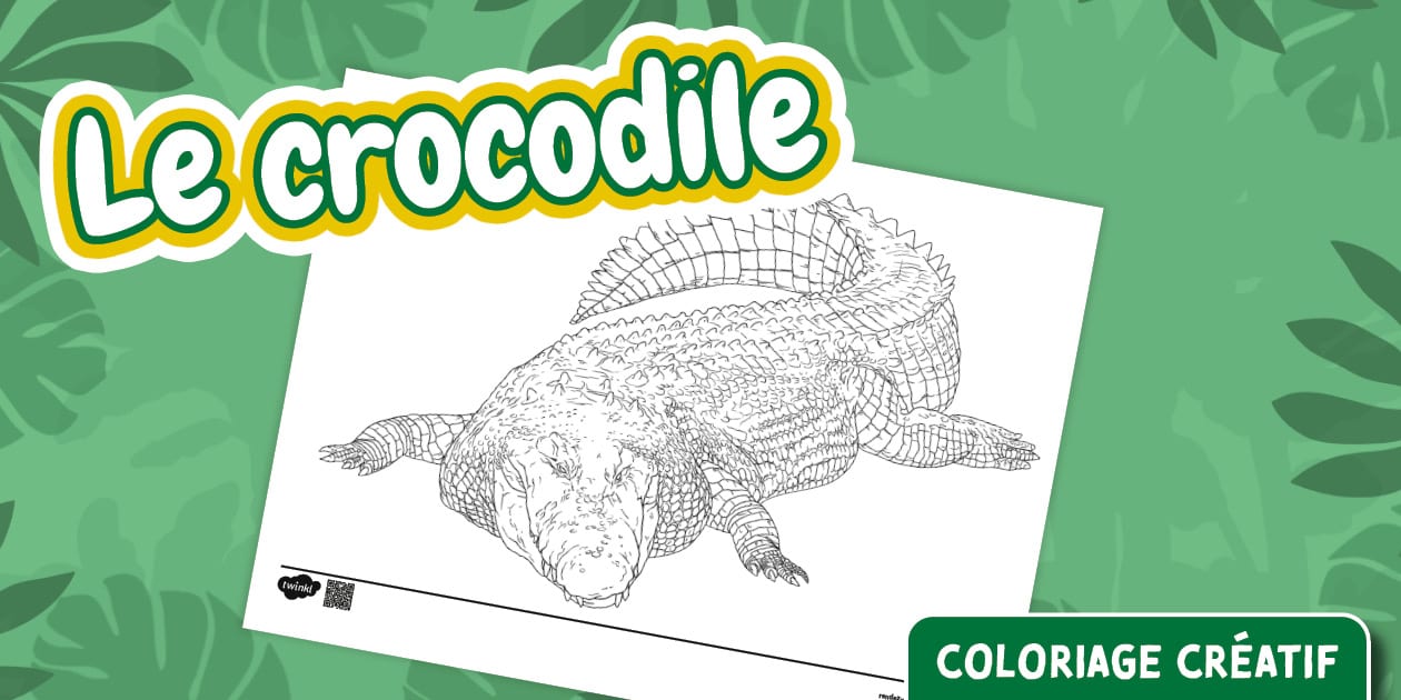 Feuille de coloriage : Le crocodile - Twinkl