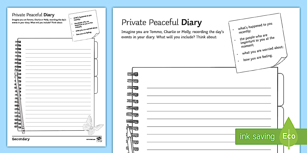 Private Peaceful Diary Activity (teacher made) - Twinkl