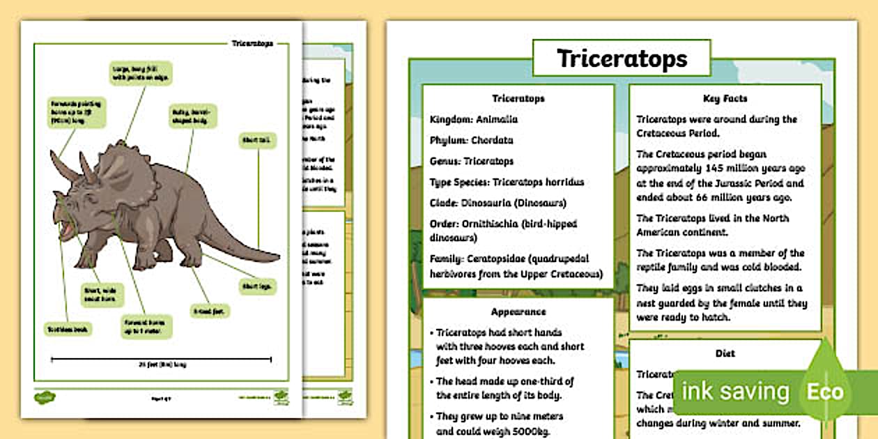 Triceratops Fact File 3-6 (teacher made) - Twinkl