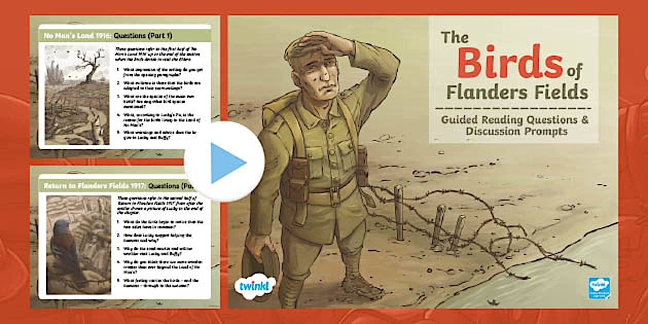 'The Birds of Flanders Fields' Guided Reading Questions | Twinkl