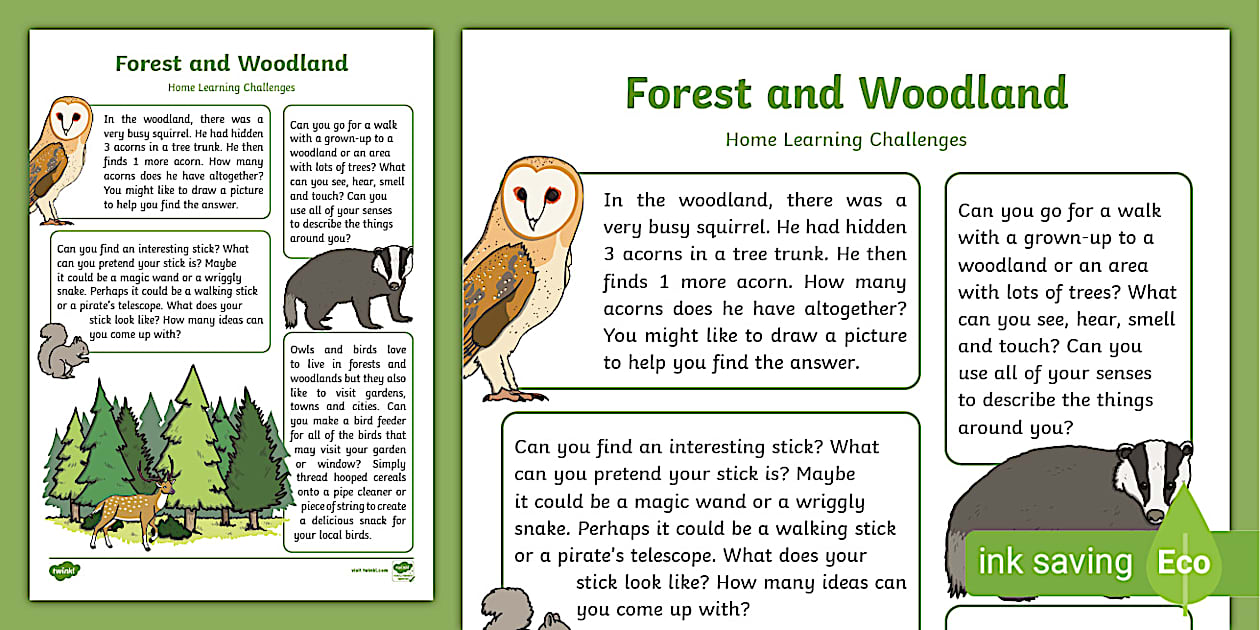 EYFS: Forest and Woodland Home Learning Challenges Nursery FS1