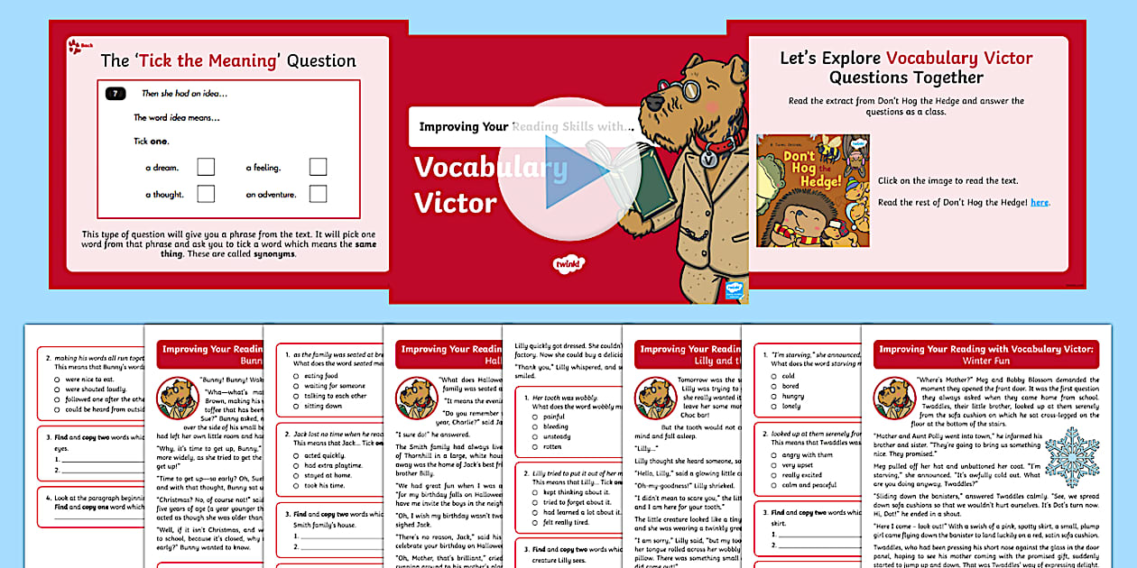 Vocabulary Activity Worksheets PDF | Activity Pack - Twinkl