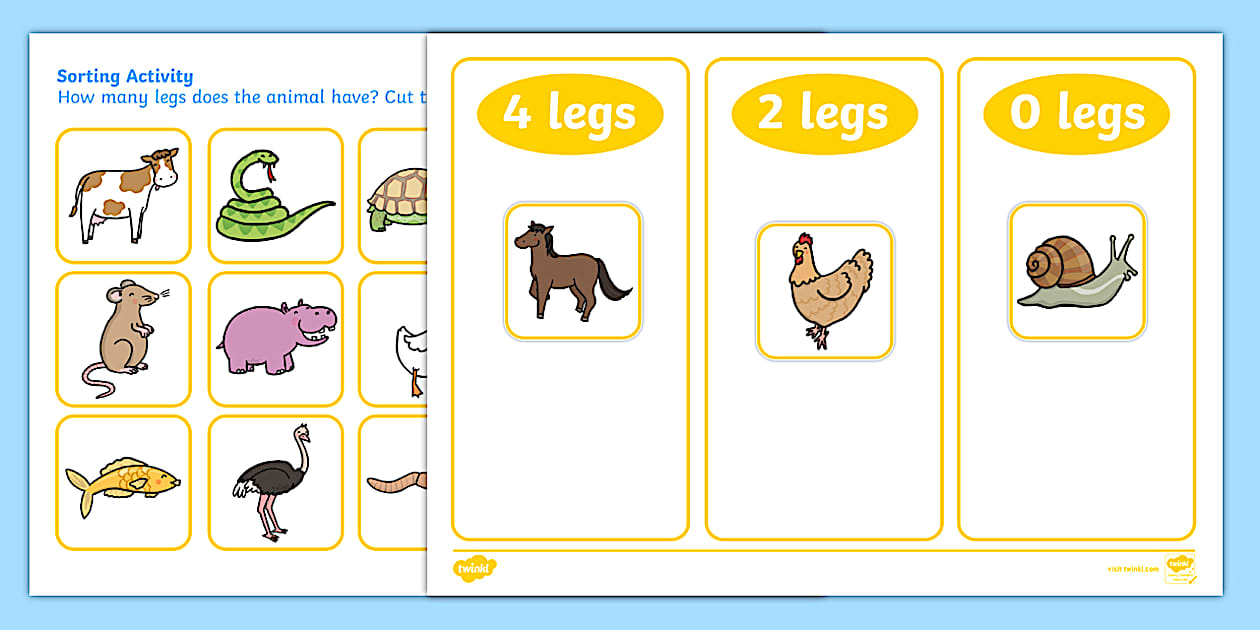 Editable Animal Leg Sorting Activity (teacher made) - Twinkl