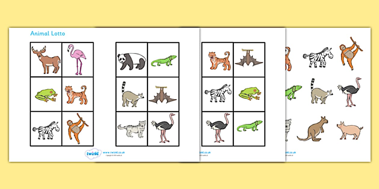 Animal Bingo (teacher made) - Twinkl