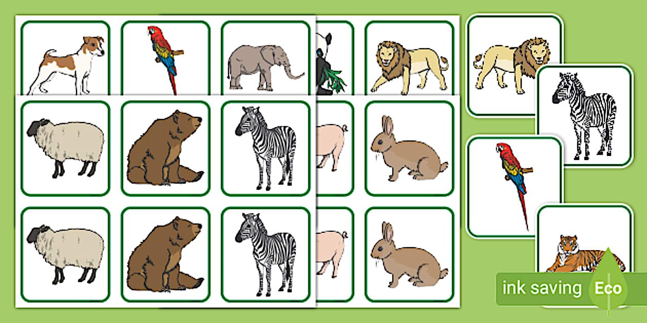 👉 Animals Snap Game (phát triển bởi giáo viên)