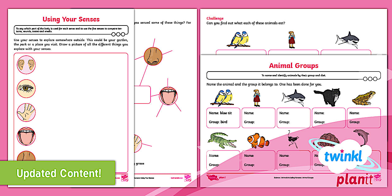 PlanIt: Animals Including Humans: Sorting Animals Year 1 Lesson 6