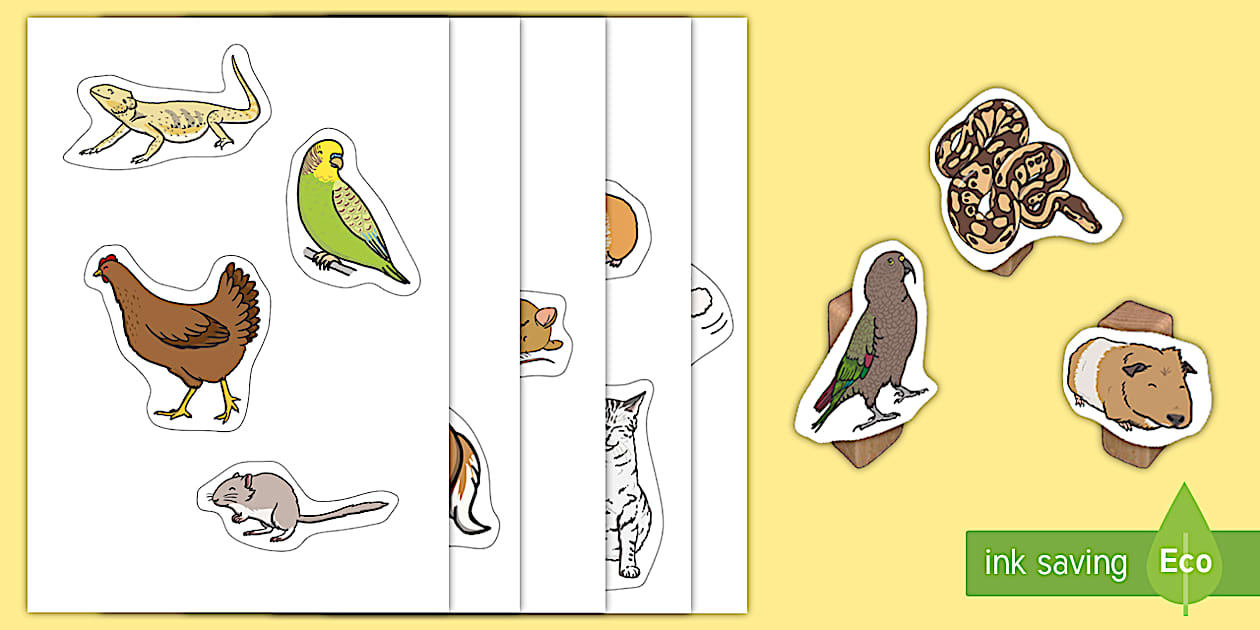 Pets Small World Characters (teacher made) - Twinkl