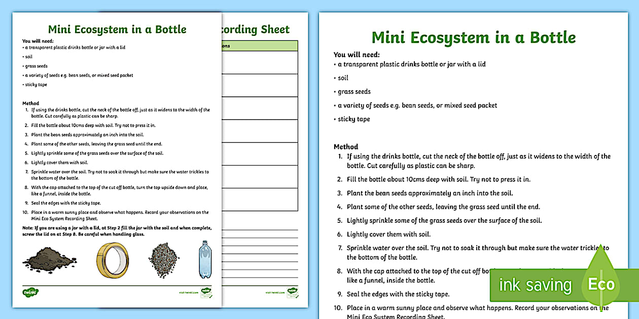 Make a Mini Ecosystem in a Bottle - Biosphere Activity