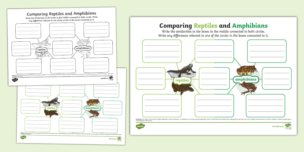 Reptiles and Amphibians Comparison Mind Map - Twinkl