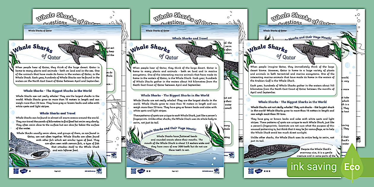Whale Sharks of Qatar Differentiated Reading Comprehension