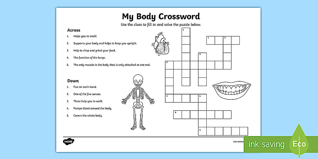 My Body Crossword (Teacher-Made) - Twinkl
