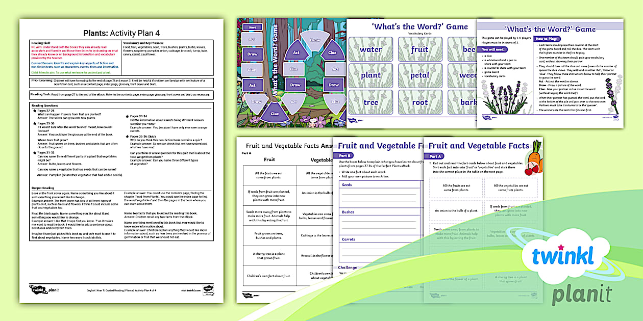 Perfect Plants Guided Reading Lesson 4 Y1 (Teacher-Made)