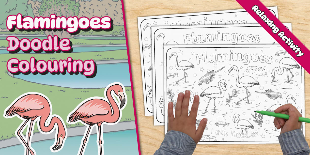 * NEW * Flamingo Doodle Colouring - Twinkl - KS1