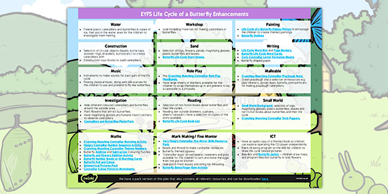 Editable EYFS Life Cycle of a Butterfly Enhancement Ideas
