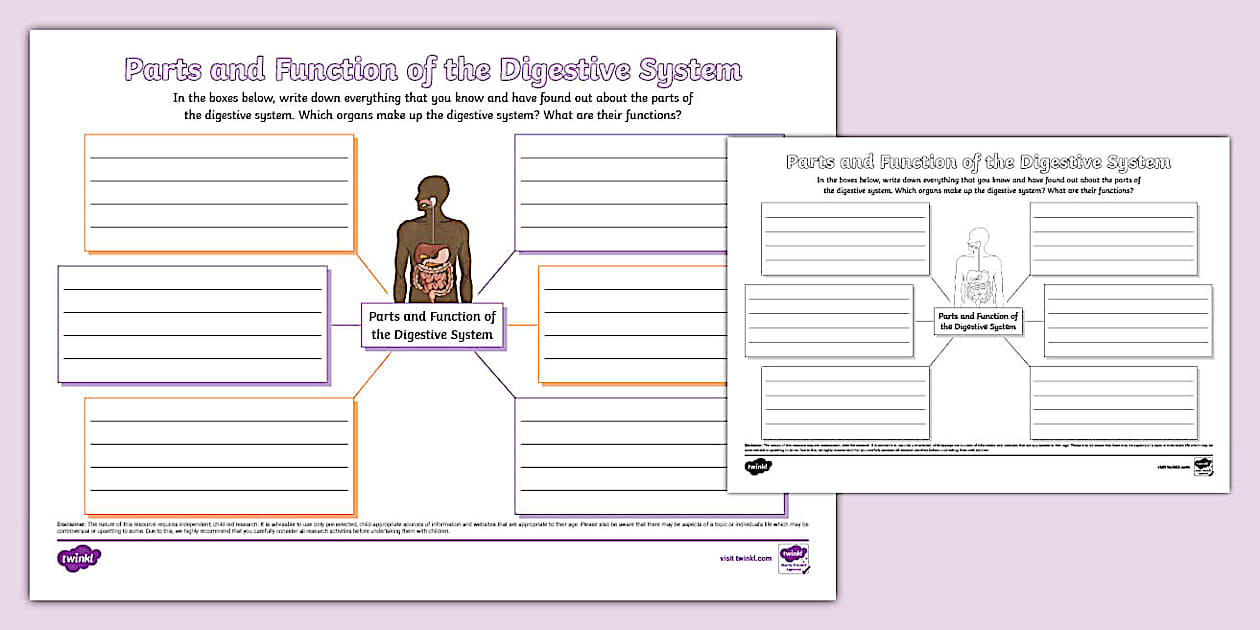 Parts and Function of the Digestive System Mind Map - Twinkl