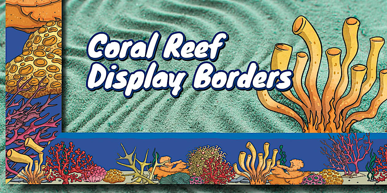 Coral Reef Display Borders