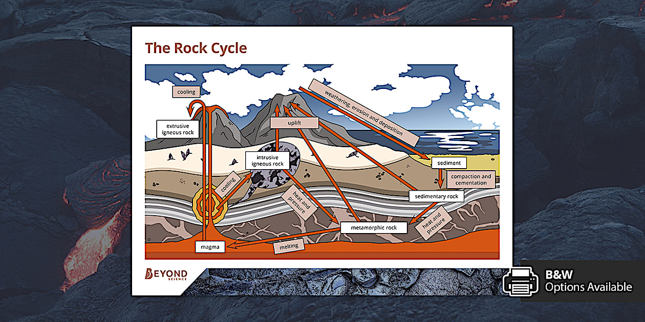 The Rock Cycle Poster (teacher made) - Twinkl