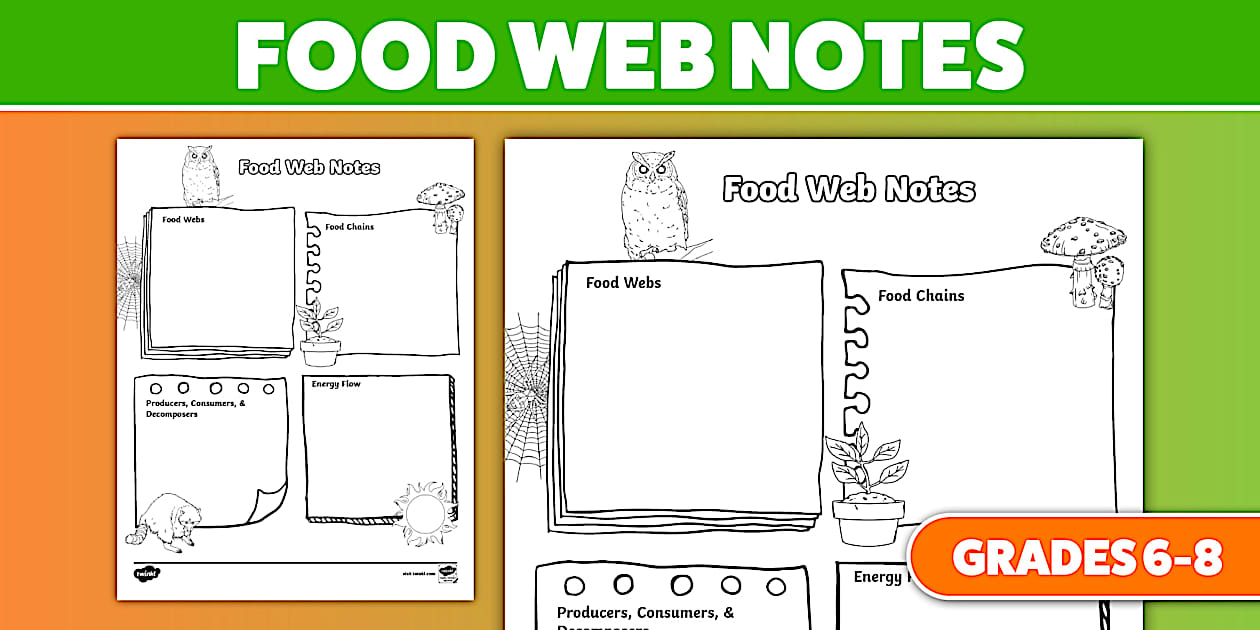 Food Web Notes Doodle Organizer for 6th-8th Grade - Twinkl