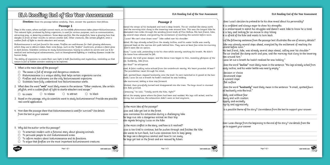 Seventh Grade ELA Reading End of the Year Assessment