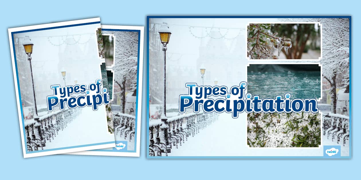 Types of Precipitation Display Poster (teacher made)