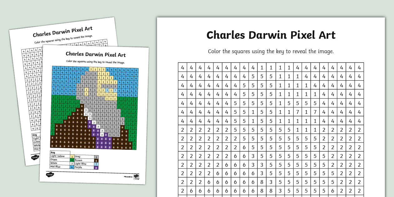 Charles Darwin Pixel Art (Hecho por educadores) - Twinkl