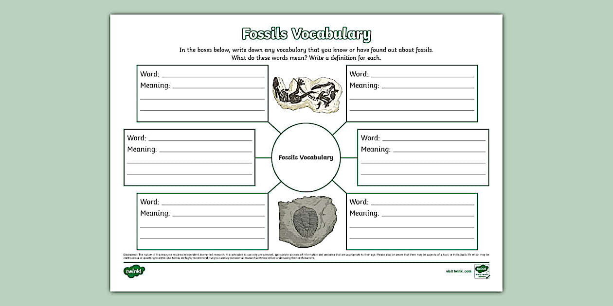 Fossils Vocabulary Mind Map (teacher made) - Twinkl