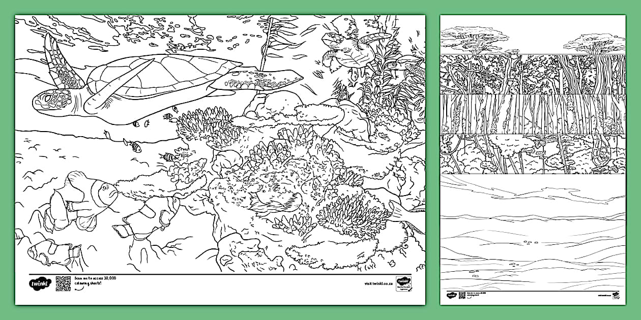 Biome Colouring Sheets (teacher made) - Twinkl