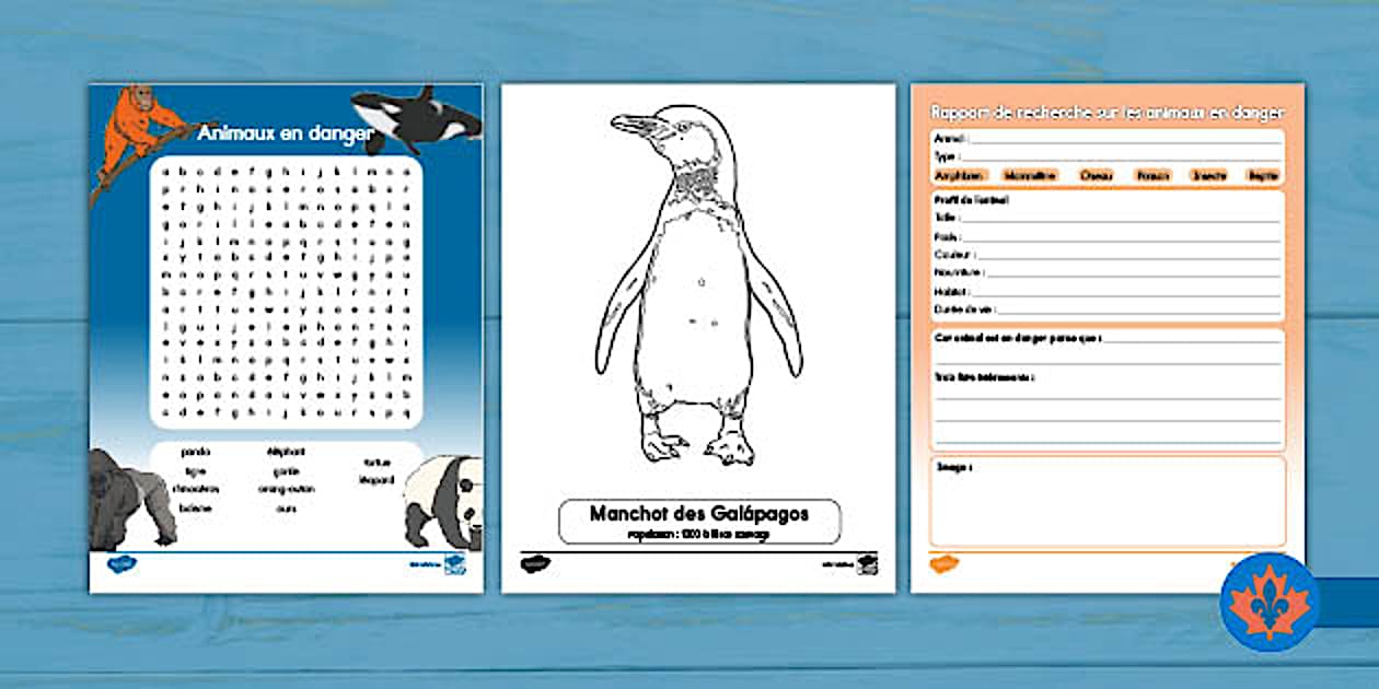 World Wildlife Day Primary Activity Pack French