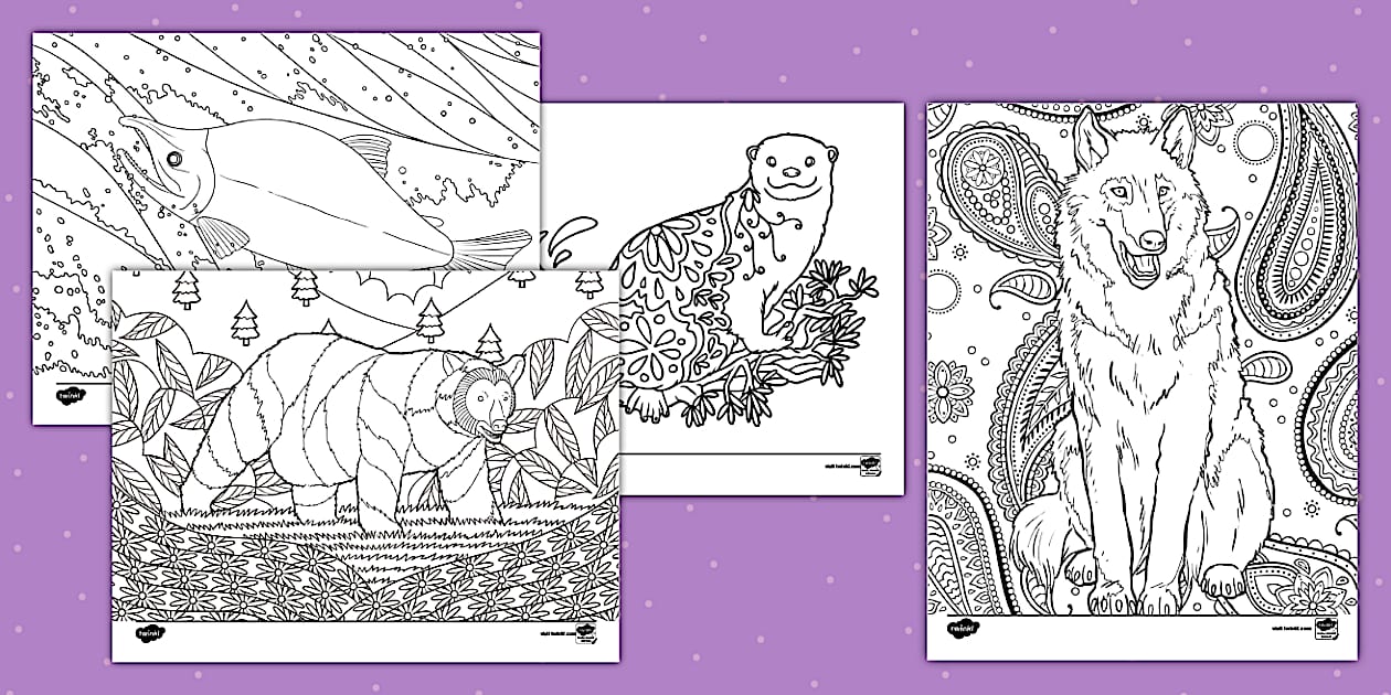 Alaska Animals Mindfulness Coloring Sheets