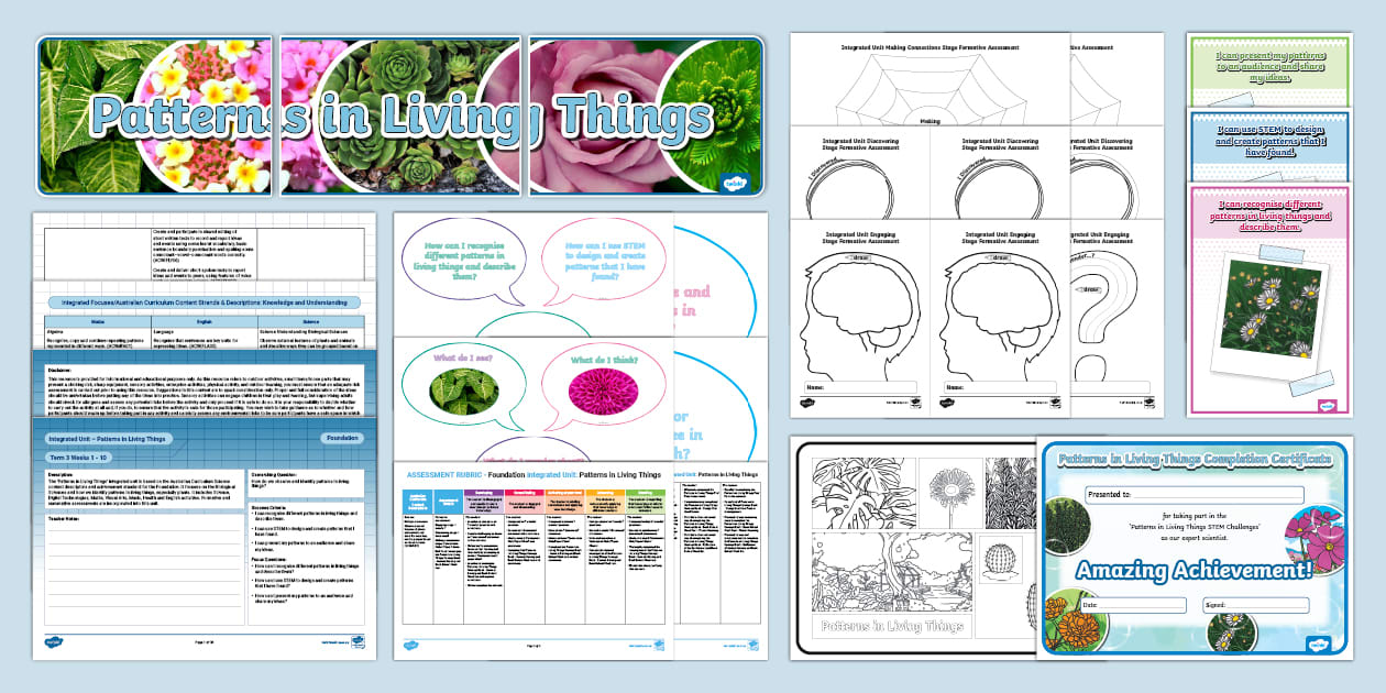 STEM IU Foundation Patterns in Living Things Display Pack