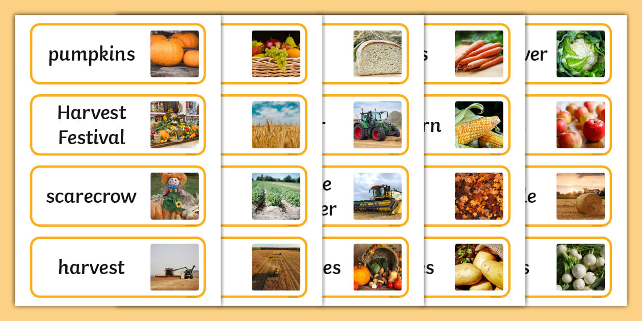 Harvest Topic Photo Word Cards | Twinkl (teacher made)