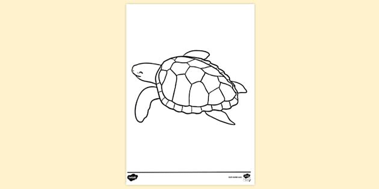 Turtle Printable | Turtle Colouring Page Template | Twinkl