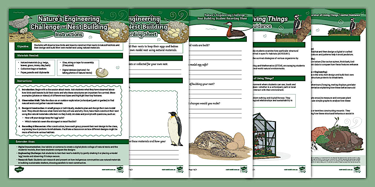 STEM Outdoors: Nature's Engineering – Nest Building