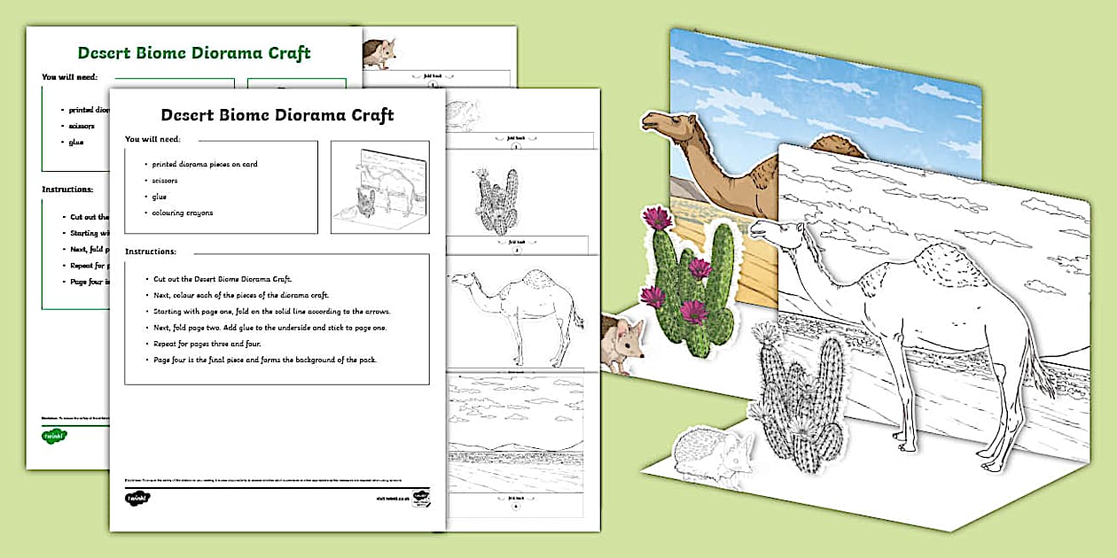 Desert Biome Diorama Craft (teacher made) - Twinkl