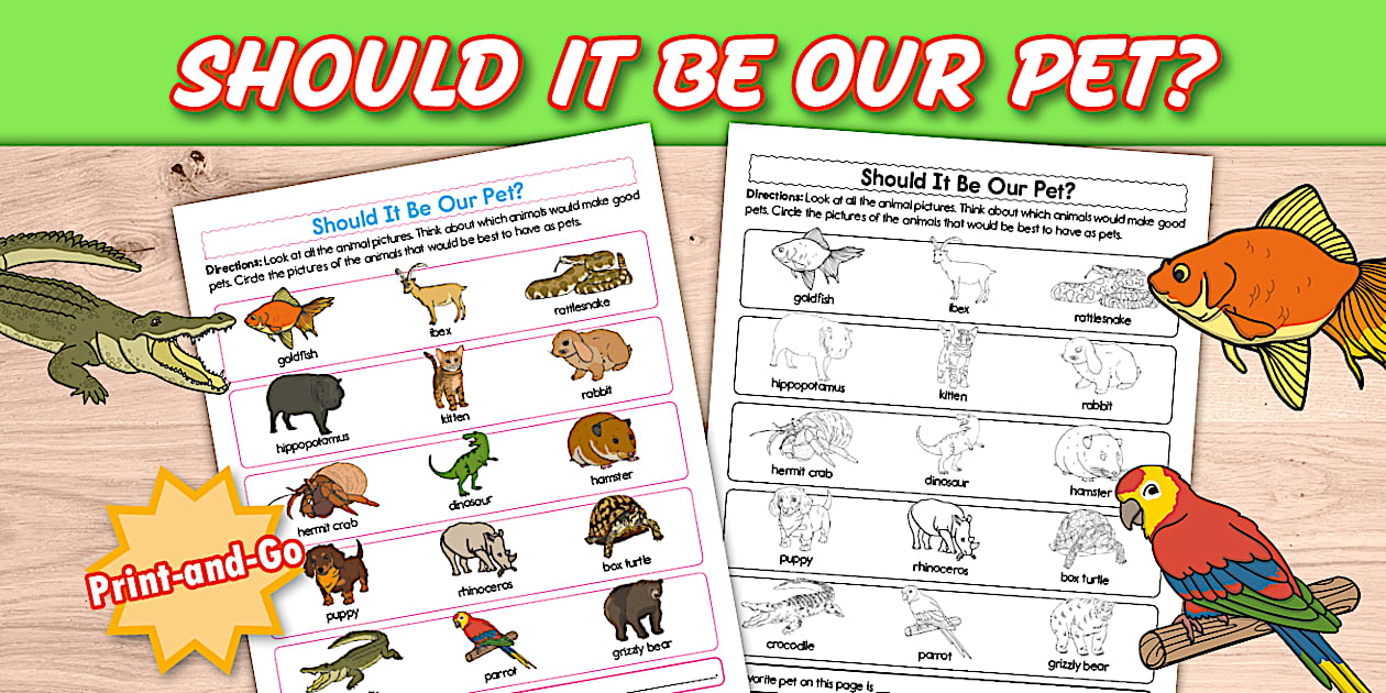 Should It Be Our Pet? Worksheet for K-2nd Grade - Twinkl