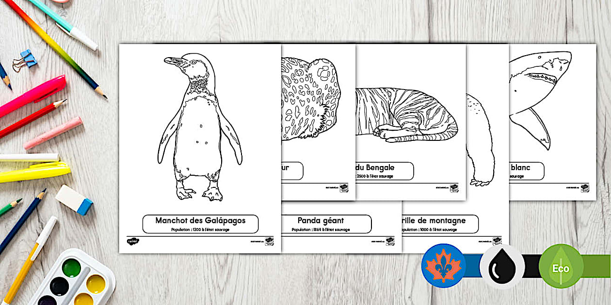 Endangered Animals Colouring Sheets French (teacher made)