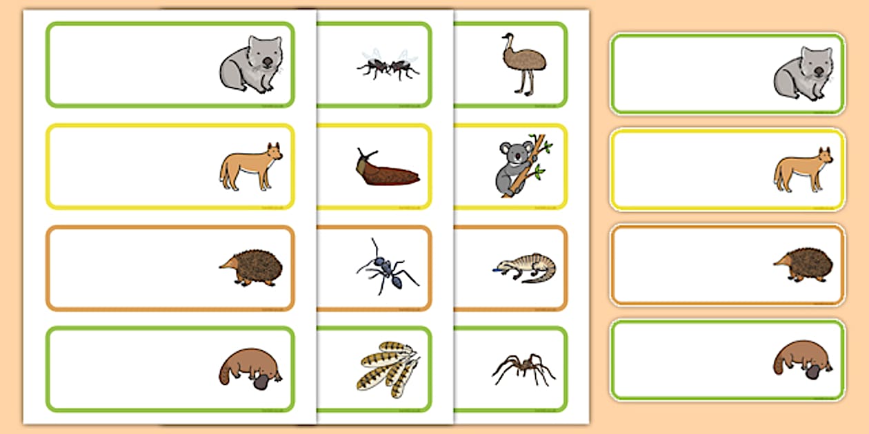 The Stew Editable Drawer Peg Name Labels - Twinkl