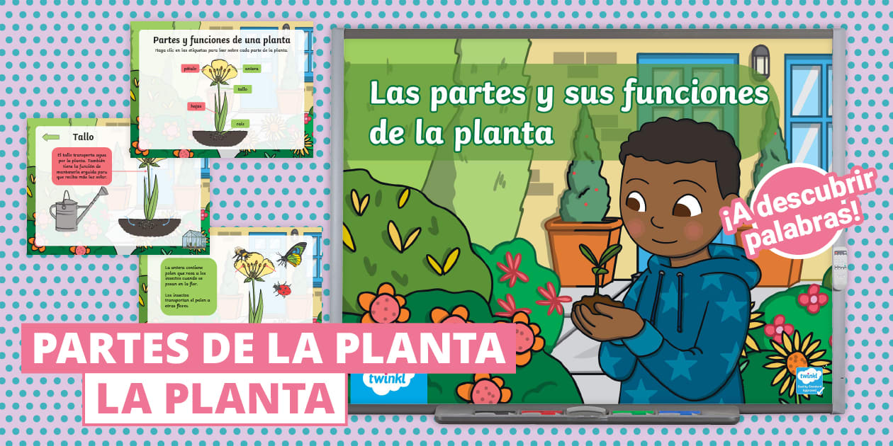 Powerpoint: Las partes de la planta