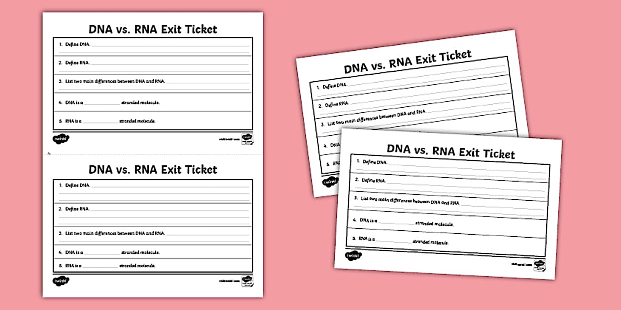 DNA vs RNA Exit Ticket (teacher made) - Twinkl