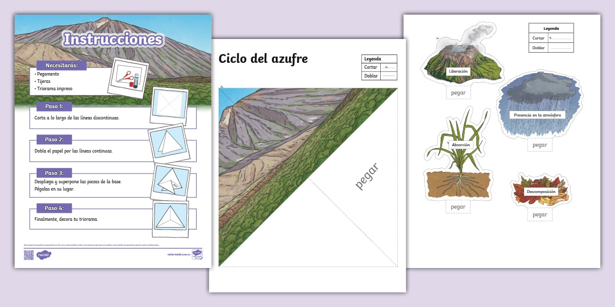 Triorama: Ciclo del azufre - Twinkl Colombia (teacher made)