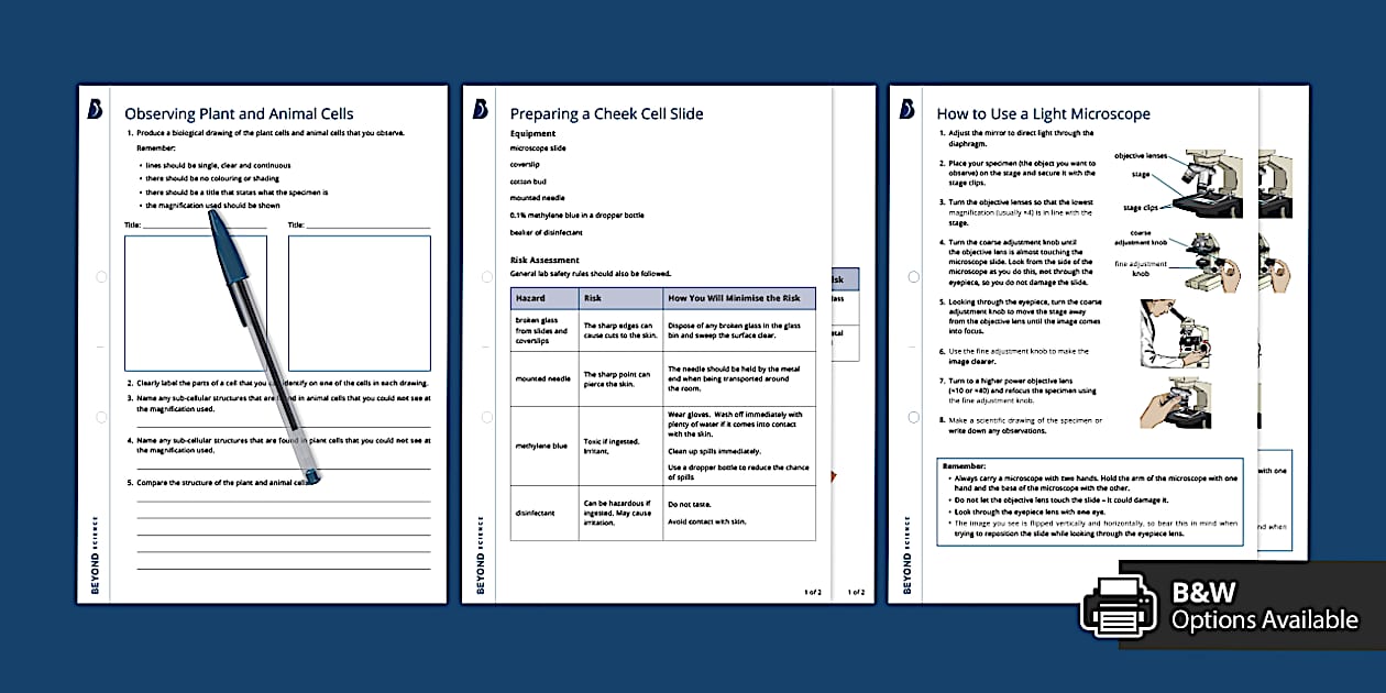 Comparing Plant and Animal Cells Microscope Investigation