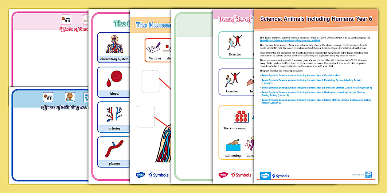 Twinkl Symbols: Science: Animals: Year 6: Complete Pack