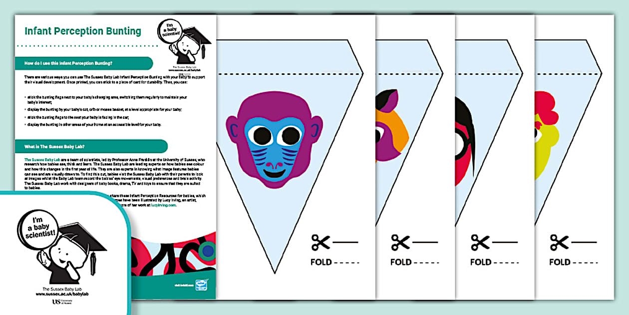 FREE! - The Sussex Baby Lab: Infant Perception Bunting