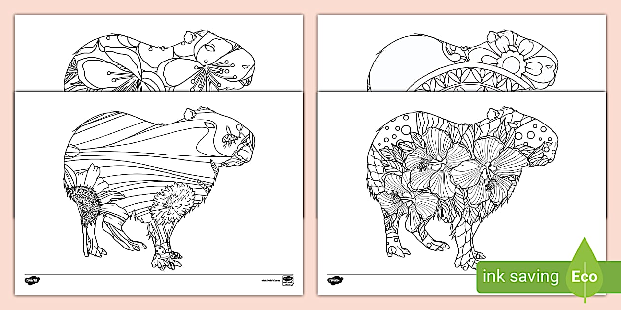 Capybara Mindfulness Colouring - Twinkl - KS2 - Twinkl