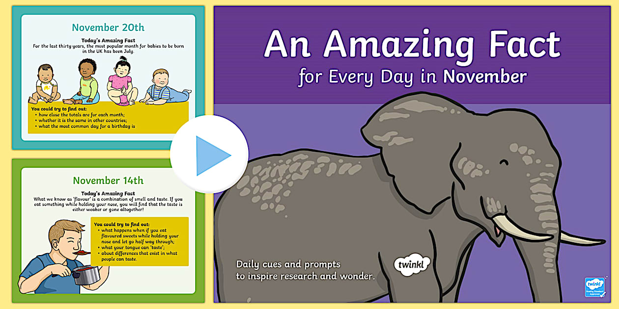 November Facts PowerPoint - Primary Resources (teacher made)