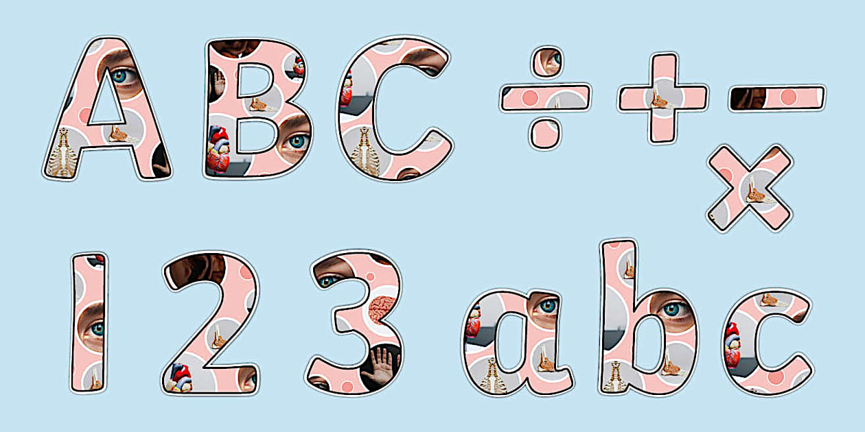 Human Body Photo Display Lettering - KS2 - Science - Twinkl